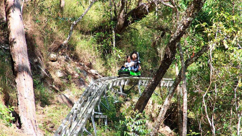 TOP 5 THINGS MUST TRY IN DALAT